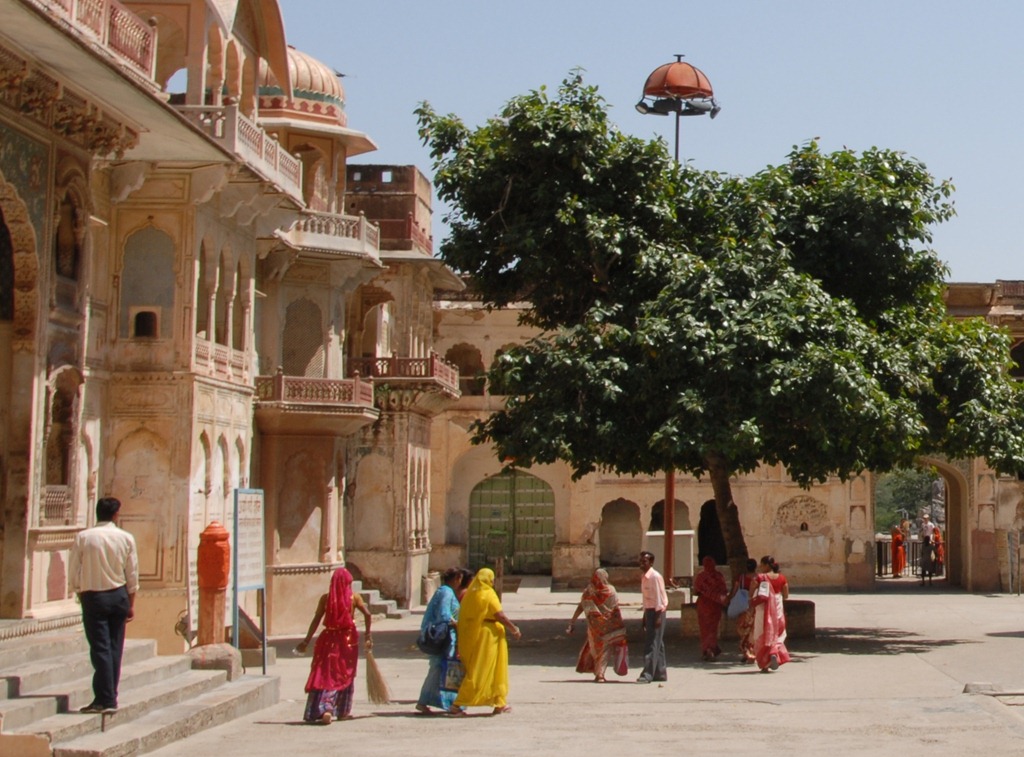 Incredible India – Part 1: Rat Temples, Street Cricket, and the Palaces ...